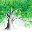 Soft Hope Tree | Uniquepedia